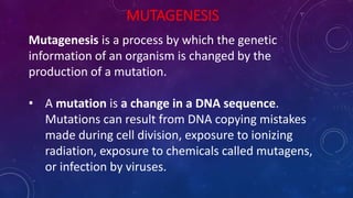 SITE-DIRECTED MUTAGENESIS.pptx