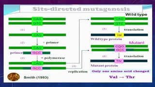SITE-DIRECTED MUTAGENESIS.pptx