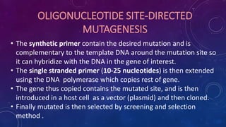 SITE-DIRECTED MUTAGENESIS.pptx