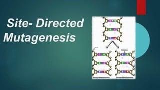 types and examples of Site-directed mutagenesis.pptx