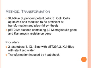 Site directed mutagenesis of β2-microglobulin PowerPoint Presentation ...