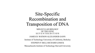 Site-Specific Recombination OF MOLECULER GENETICS.pptx | Chemistry ...