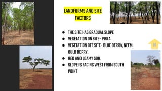 SITE ANALYSIS | PDF