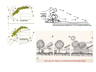 Site analysis- AV.pptx