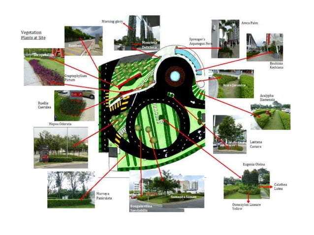 Site analysis presentation | PPTX