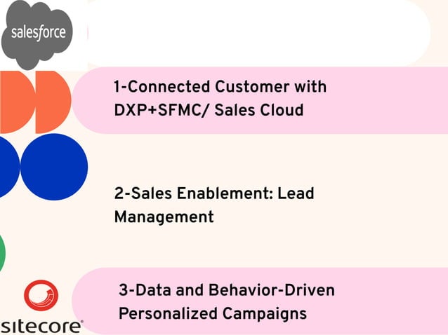 Sitecore And Salesforce Integration Ppt