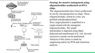 _Site directed Mutagenesis.pptx
