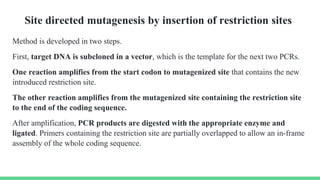 _Site directed Mutagenesis.pptx