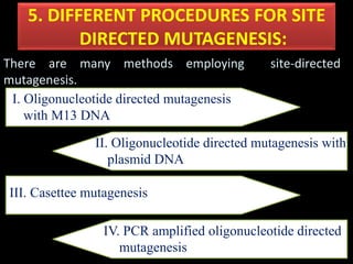 Site Directed mutagenesis- Sonal Singh Shrivas.pptx | Chemistry | Science