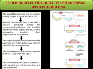 Site Directed mutagenesis- Sonal Singh Shrivas.pptx | Chemistry | Science