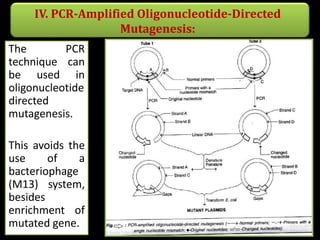 Site Directed mutagenesis- Sonal Singh Shrivas.pptx | Chemistry | Science