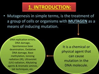 Site Directed mutagenesis- Sonal Singh Shrivas.pptx | Chemistry | Science