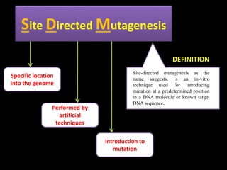 Site Directed mutagenesis- Sonal Singh Shrivas.pptx | Chemistry | Science