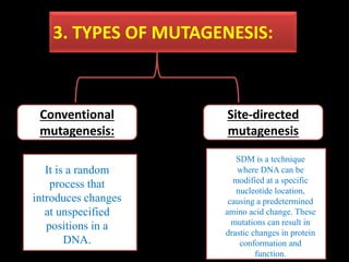 Site Directed mutagenesis- Sonal Singh Shrivas.pptx | Chemistry | Science