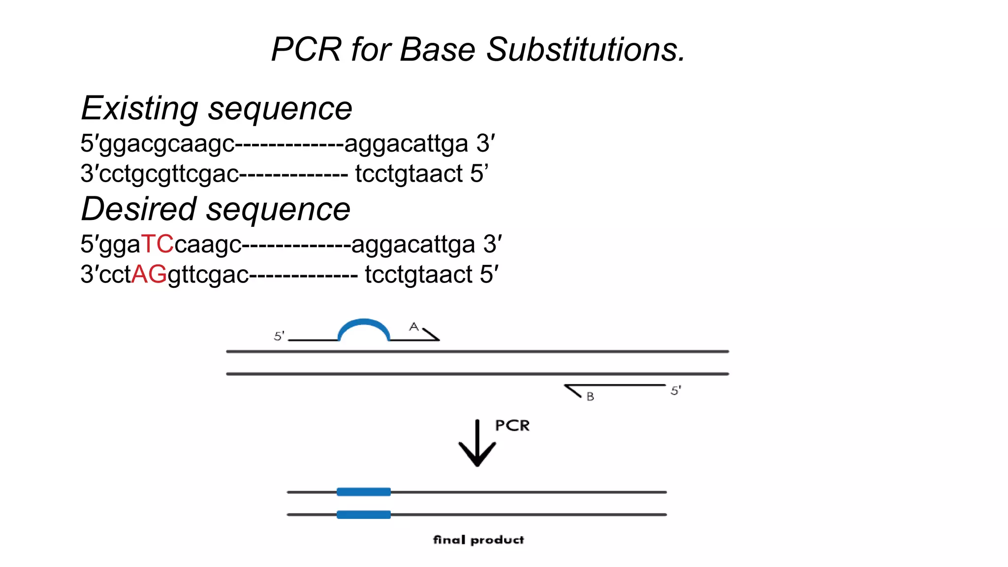 Site directed mutagenesis by pcr | PPTX