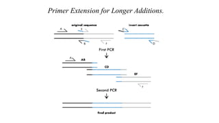 Site directed mutagenesis by pcr | PPTX