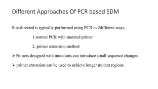 Site directed mutagenesis by pcr | PPTX
