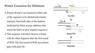 Site directed mutagenesis by pcr | PPTX
