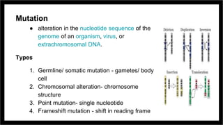 site directed mutagenesis .pptx