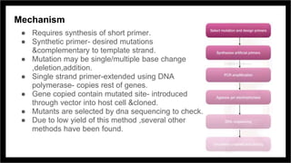 site directed mutagenesis .pptx