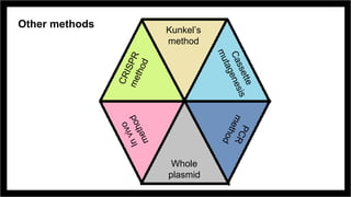 site directed mutagenesis .pptx