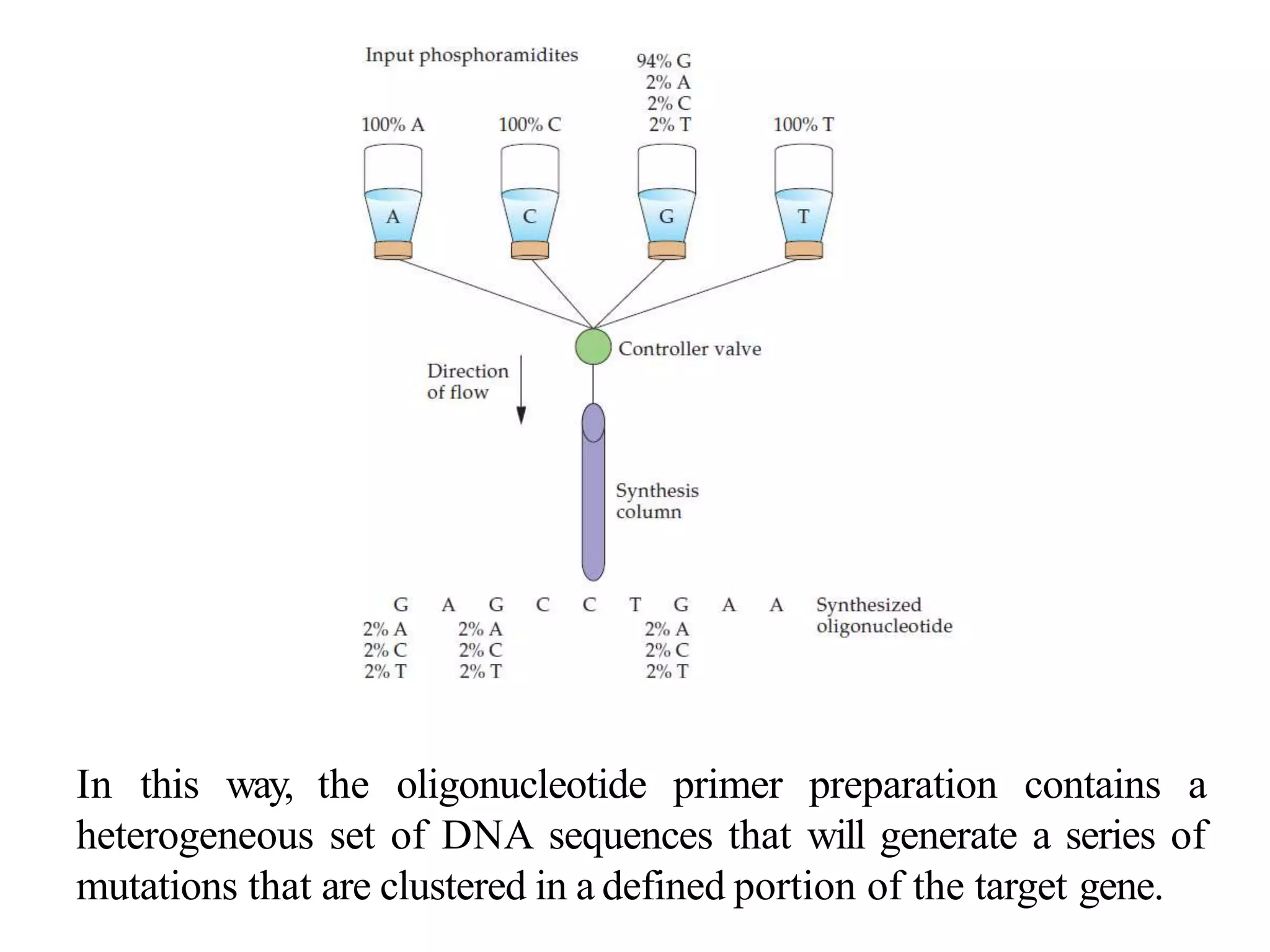 Site Directed Mutagenesis (SDM).pptx