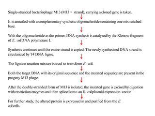 Site Directed Mutagenesis (SDM).pptx