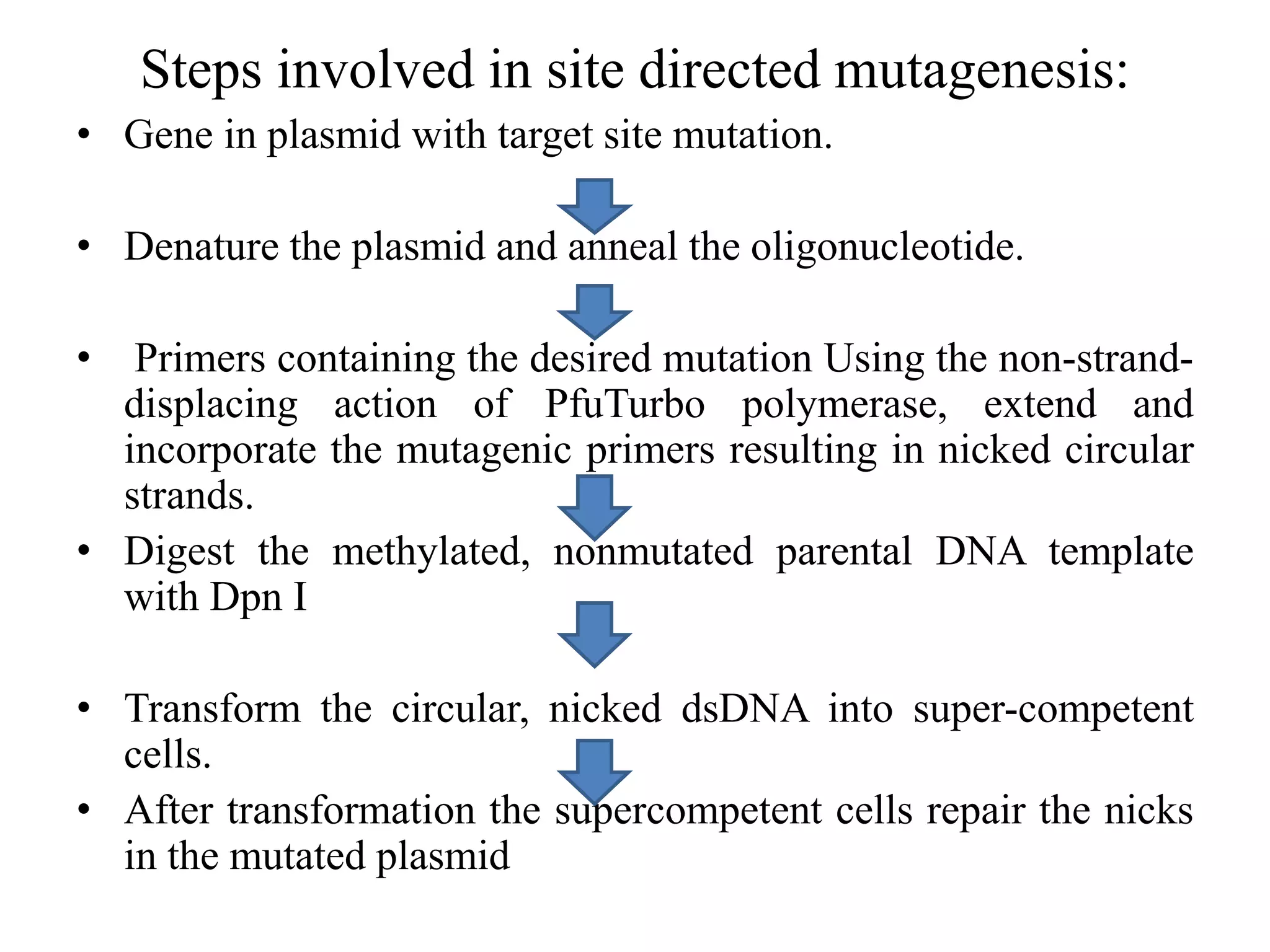 Site directed mutgenesis, OLIGONUCLEOTIDE DIRECTED MUTAGENESIS | PPTX