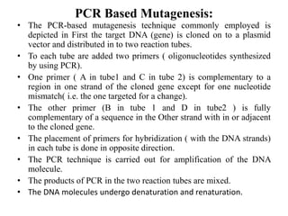 Site directed mutgenesis, OLIGONUCLEOTIDE DIRECTED MUTAGENESIS | PPTX