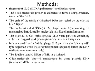 Site directed mutgenesis, OLIGONUCLEOTIDE DIRECTED MUTAGENESIS | PPTX