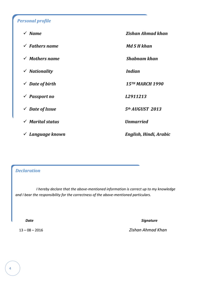 Site engineer zak | PDF