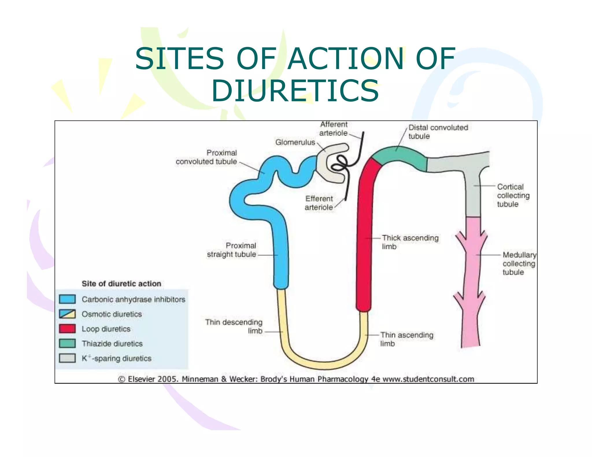 Site 1 Diuretics | PPTX