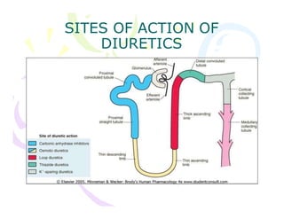 Site 1 Diuretics | PPTX