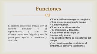 Sistema Endocrino | PPTX
