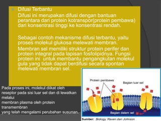 Sitem transpor membran | PPT