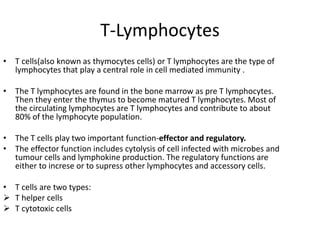 Site of haemopoiesis | PPTX