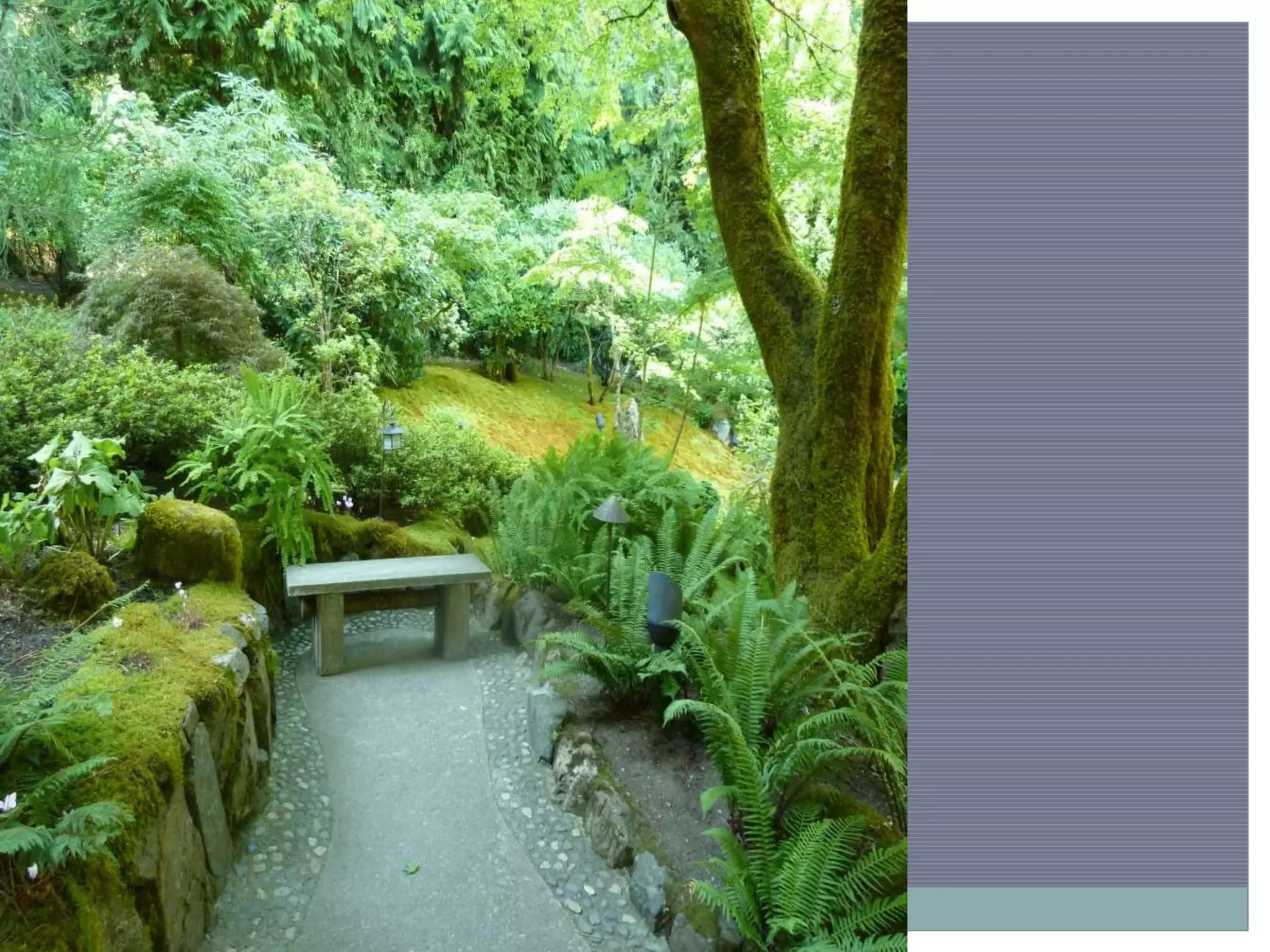 basic elements of landscape architechture | PPT