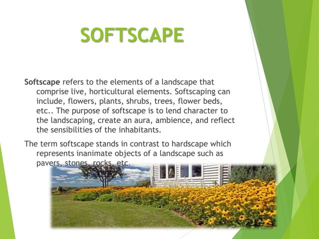 SITE PLANNING PARAMETERS for landscape design.pptx