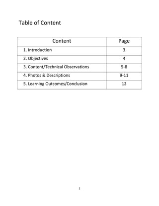 Site report | DOC | Civil Engineering Industry | Industries