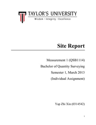Site report for Measurement 1 | DOCX