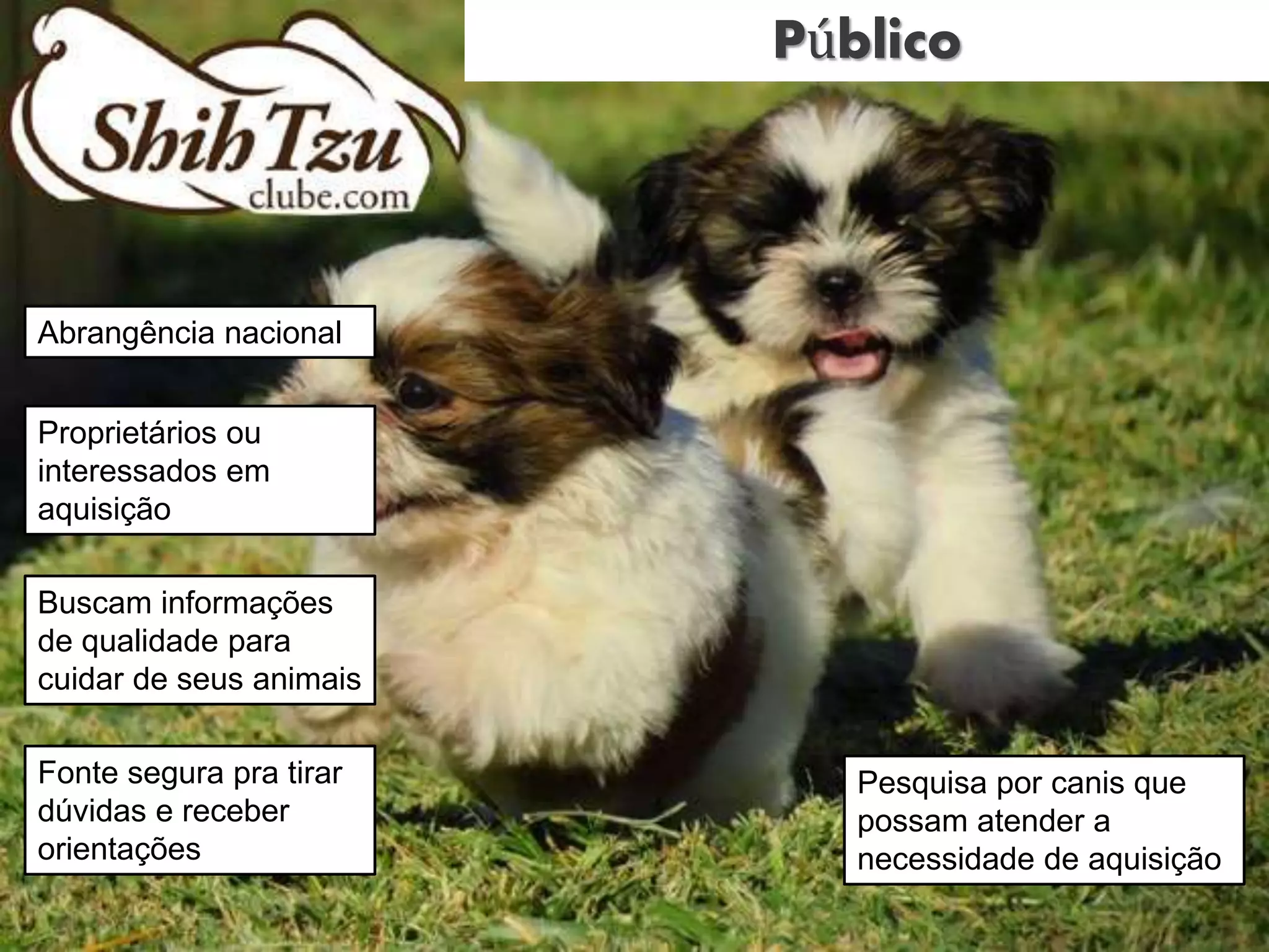 MediaKit - Chow Chow Brasil & Shih Tzu Clube | PPT
