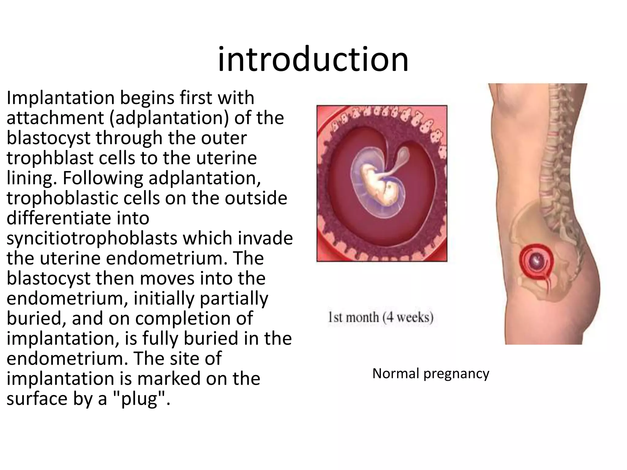 Sites of implantation of embryo | PPTX
