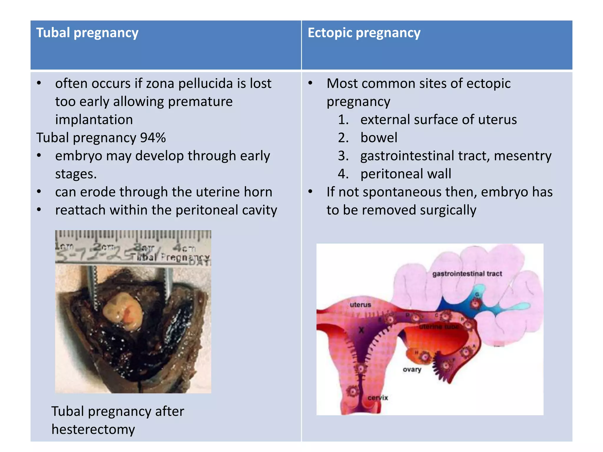 Sites of implantation of embryo | PPTX