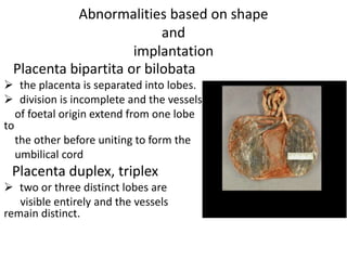 Sites of implantation of embryo | PPTX