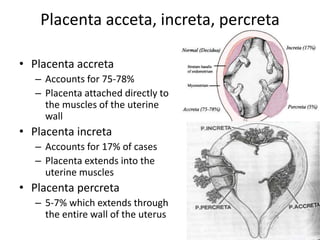 Sites of implantation of embryo | PPTX