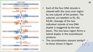 Site specific recombination and transposition.........pdf