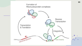 Site specific recombination and transposition.........pdf