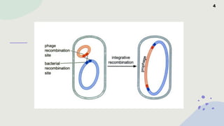 Site specific recombination and transposition.........pdf