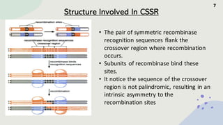 Site specific recombination and transposition.........pdf