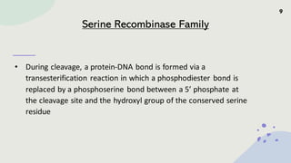 Site specific recombination and transposition.........pdf
